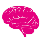 5 Ways to Find Truth - FaithCounts